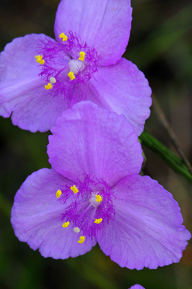 0422 - All Pictures