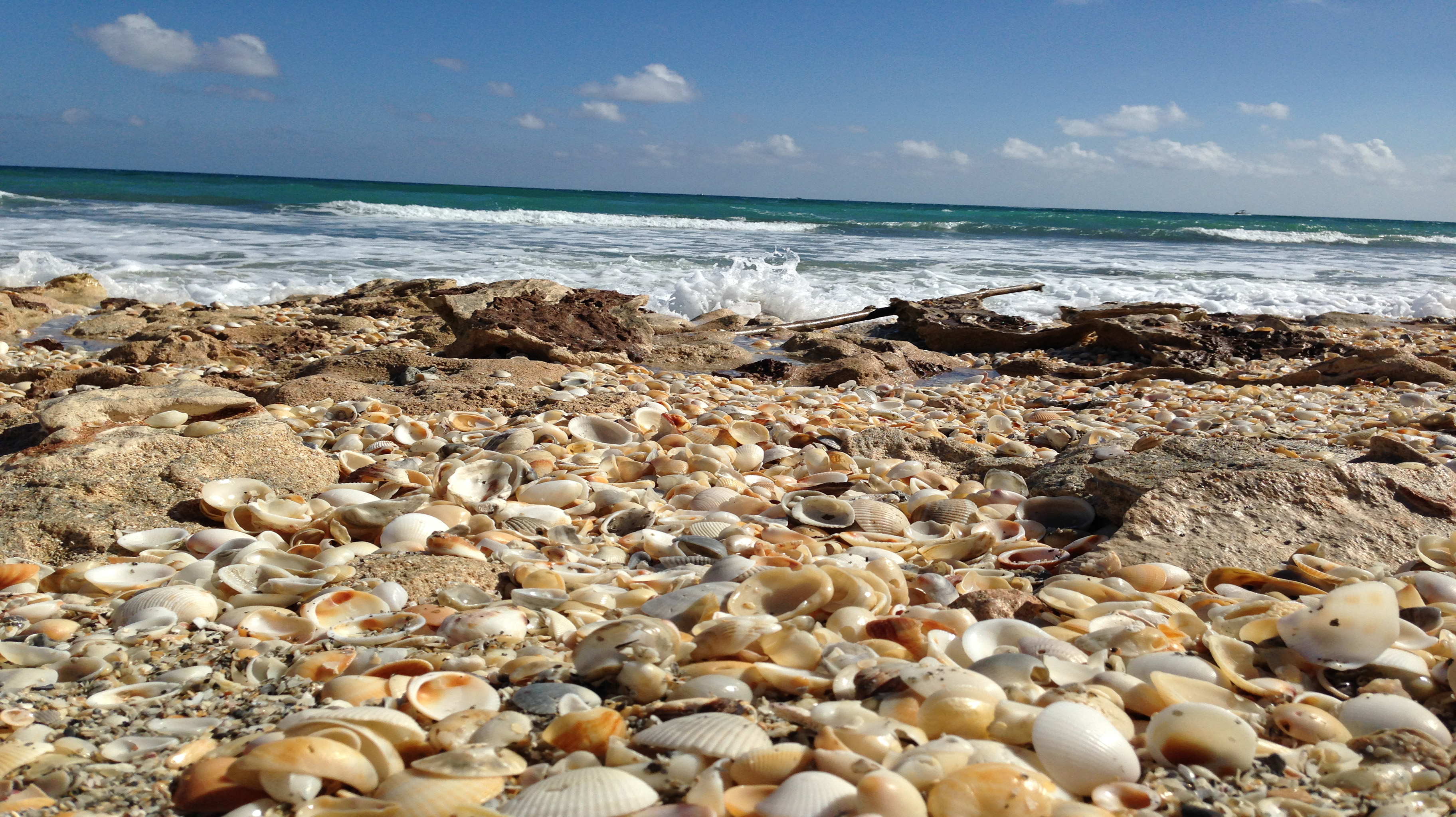 background - Thumbnails