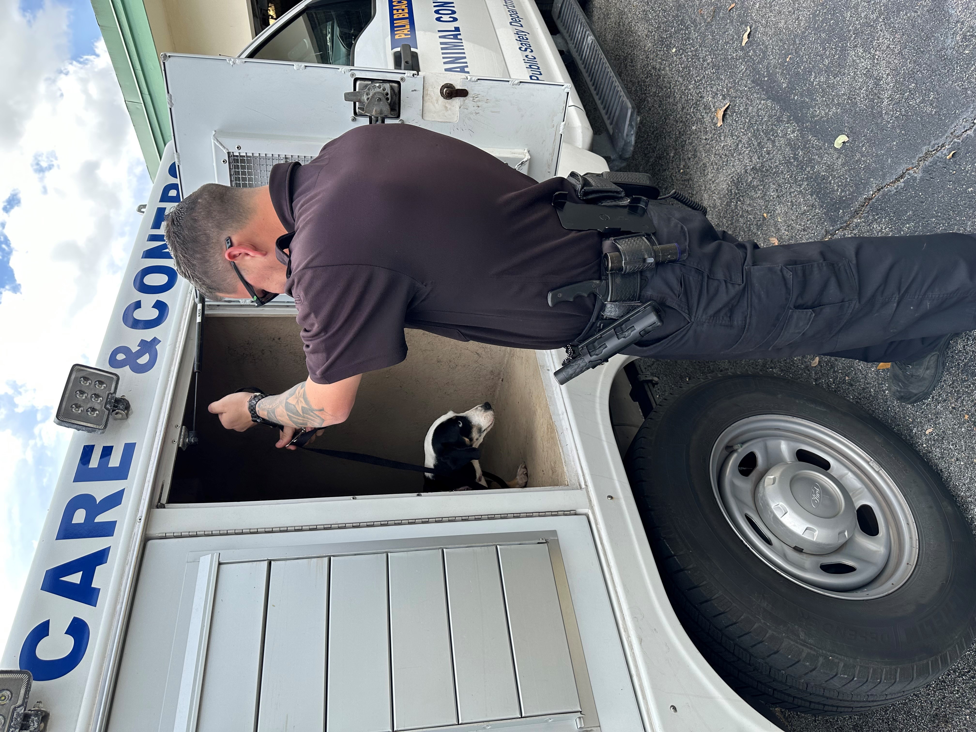 Public Safety - Animal Care Field Services Operations